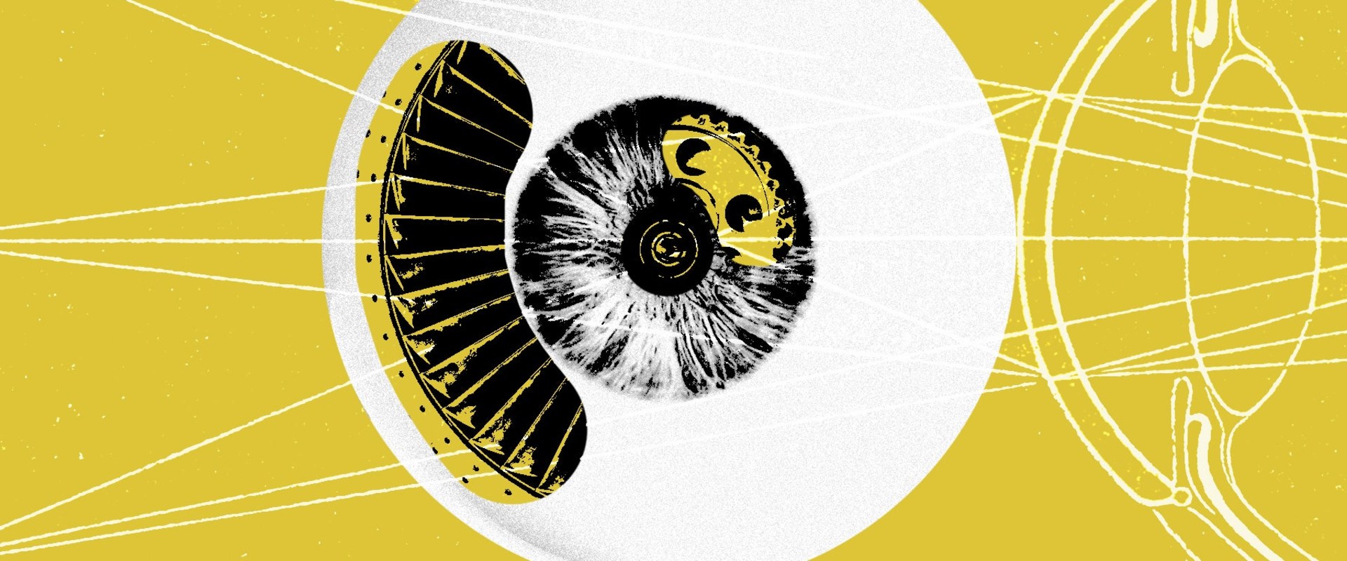 Computer Vision Software: A Comprehensive Overview